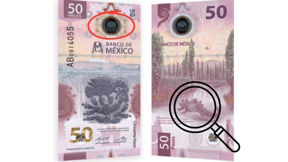 Billete De 50 Pesos ¿cómo Saber Si Te Dan Un Billete Falso Del Ajolote Fm Globo