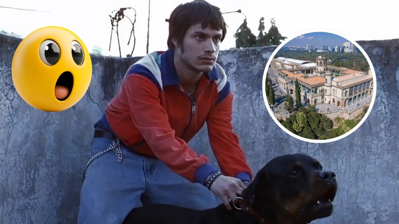 “Sueño Perro” la experiencia sensorial para celebrar 25 años de Amores ...
