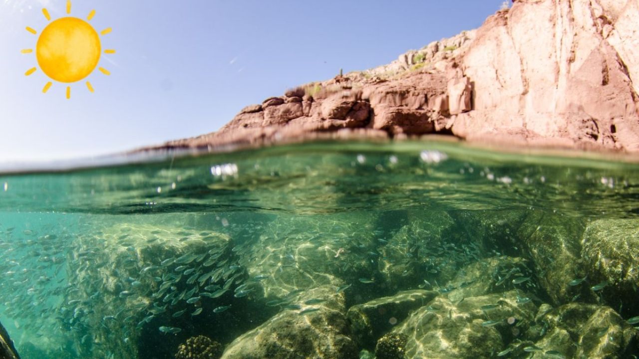El acuario natural del mundo ubicado en Sinaloa con una espectacular ...