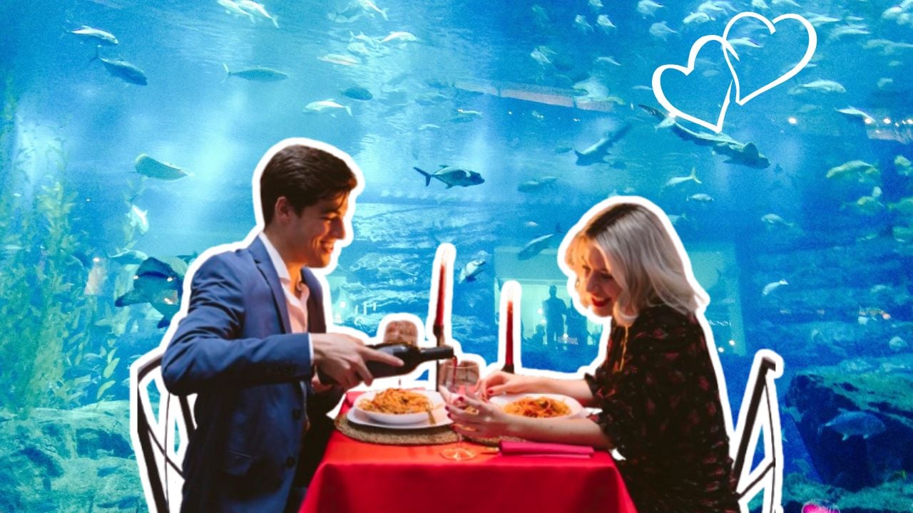 ¡Delicioso San Valentín! Disfruta de una deliciosa cena con recorrido ...