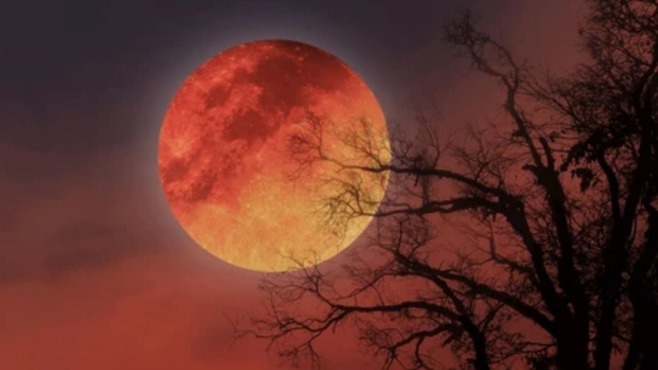 Luna de sangre 2025: ¿A qué hora y cómo ver el primer eclipse de 2025 en México? | FM Globo