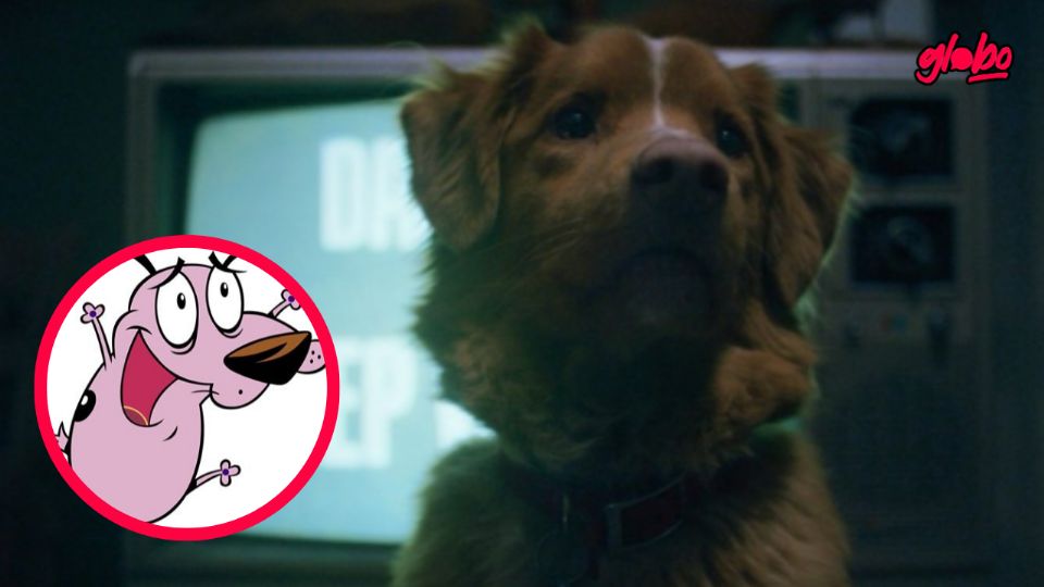 Good boy: Esto debes saber sobre la película de terror que es comparada ...