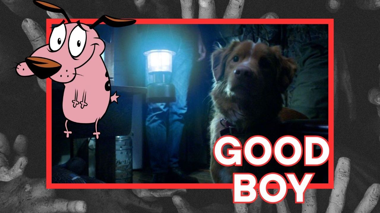 Good Boy: 3 cosas que debes saber antes de ver la película de terror ...