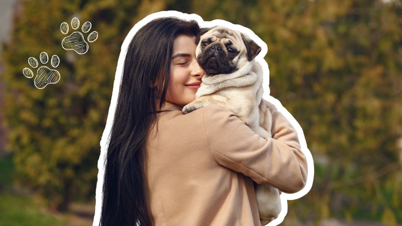 Día del Pug 2025: Fecha, actividades y costo de la entrada | FM Globo